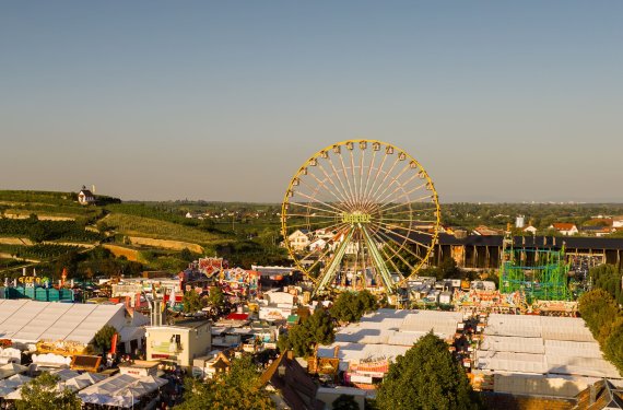 Wurstmarkt-Flyer | Startseite