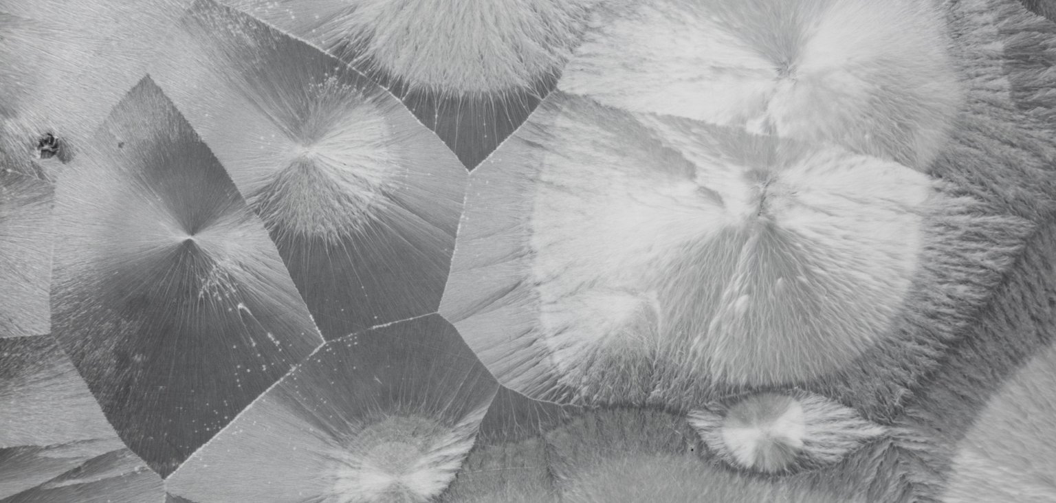 Ausstellung im Stadtmuseum | „Phenomena“ mit Werken von Léa Barbazanges ...